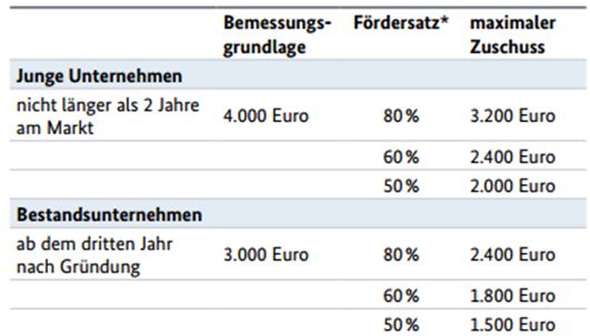 Bafa Förderung des unternehmerischen Know how – existenziell.info
